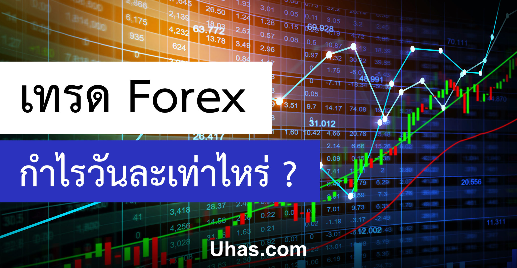 ทำกำไร Forex วันละเท่าไหร่ ดี? - Uhas.com