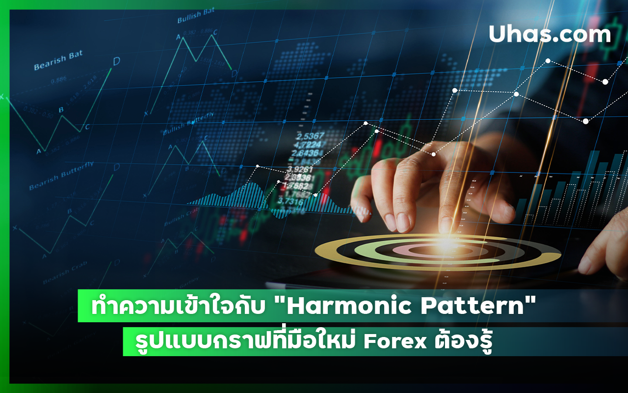 Harmonic Pattern คืออะไร มีกี่รูปแบบ กราฟที่มือใหม่ Forex ต้องรู้