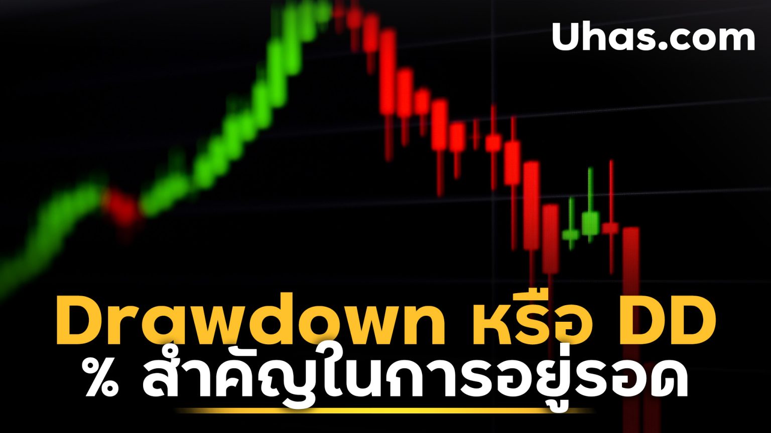 Drawdown คืออะไร ค่า DD กับ ความเสี่ยงของพอร์ตลงทุน - Uhas.com