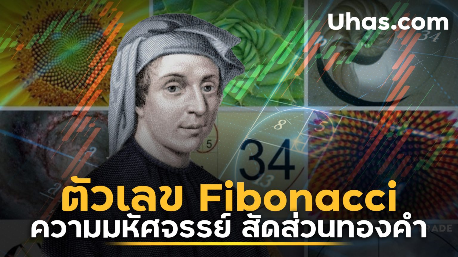 ฟีโบนักชี (Fibonacci) คืออะไร เผยความมหัศจรรย์ของตัวเลข Fibonacci