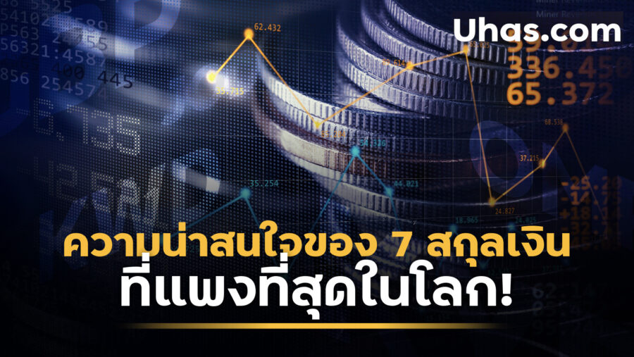 Drawdown คืออะไร ค่า DD กับ ความเสี่ยงของพอร์ตลงทุน - Uhas.com