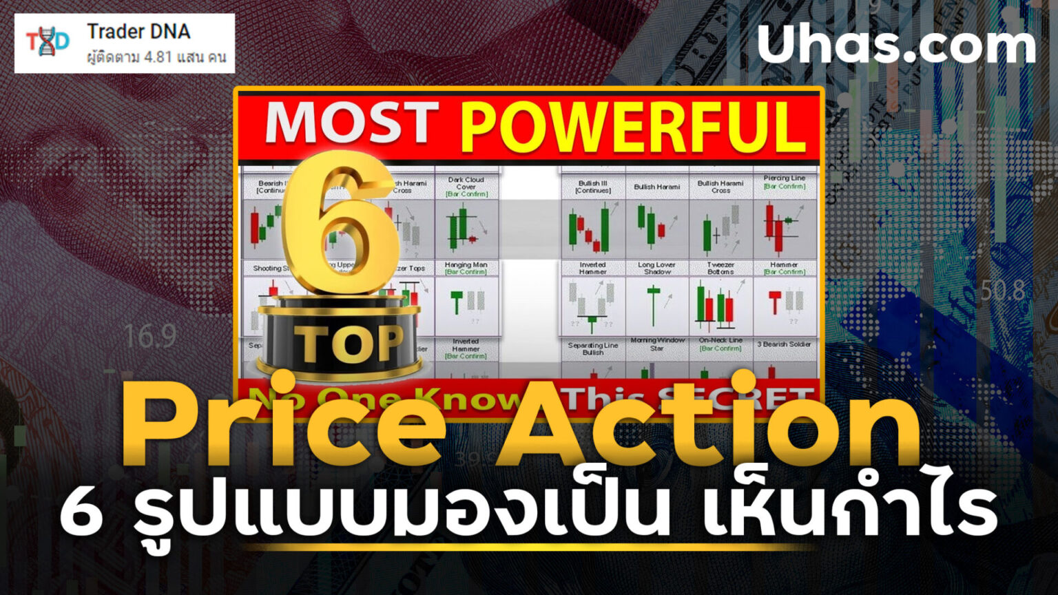 ค้นหาสกุลเงินทั้งหมด และตัวย่อสกุลเงินต่าง ๆ ทั่วโลก- Uhas.com