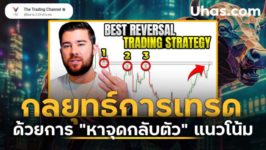 Drawdown คืออะไร ค่า DD กับ ความเสี่ยงของพอร์ตลงทุน - Uhas.com