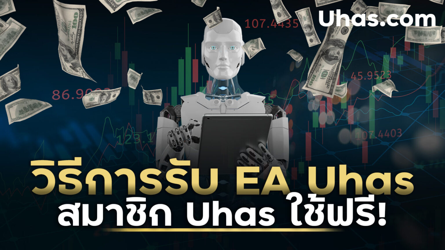 วิธีการขอ EA Uhas Zone ใช้งานฟรี - Uhas.com